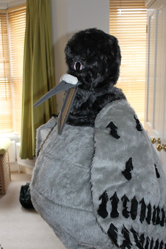 Racing Pigeon Costume | Baking, Making, and Crafting