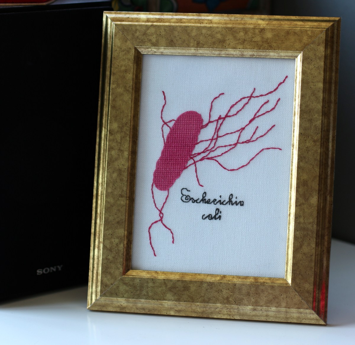 A pretty little Escherichia coli | Baking, Making, and Crafting