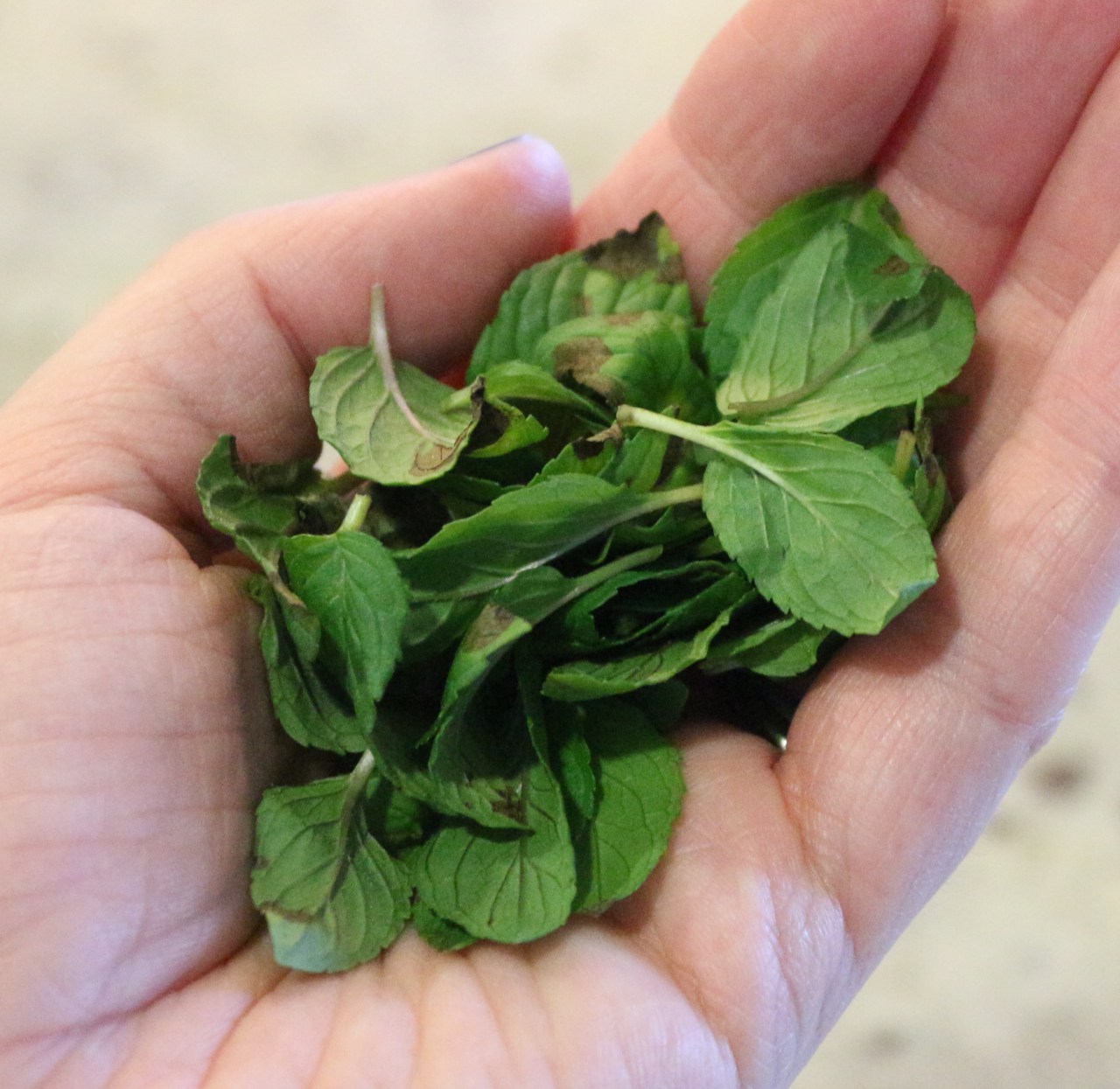Lemon and Peppermint Cordial | Baking, Making, and Crafting